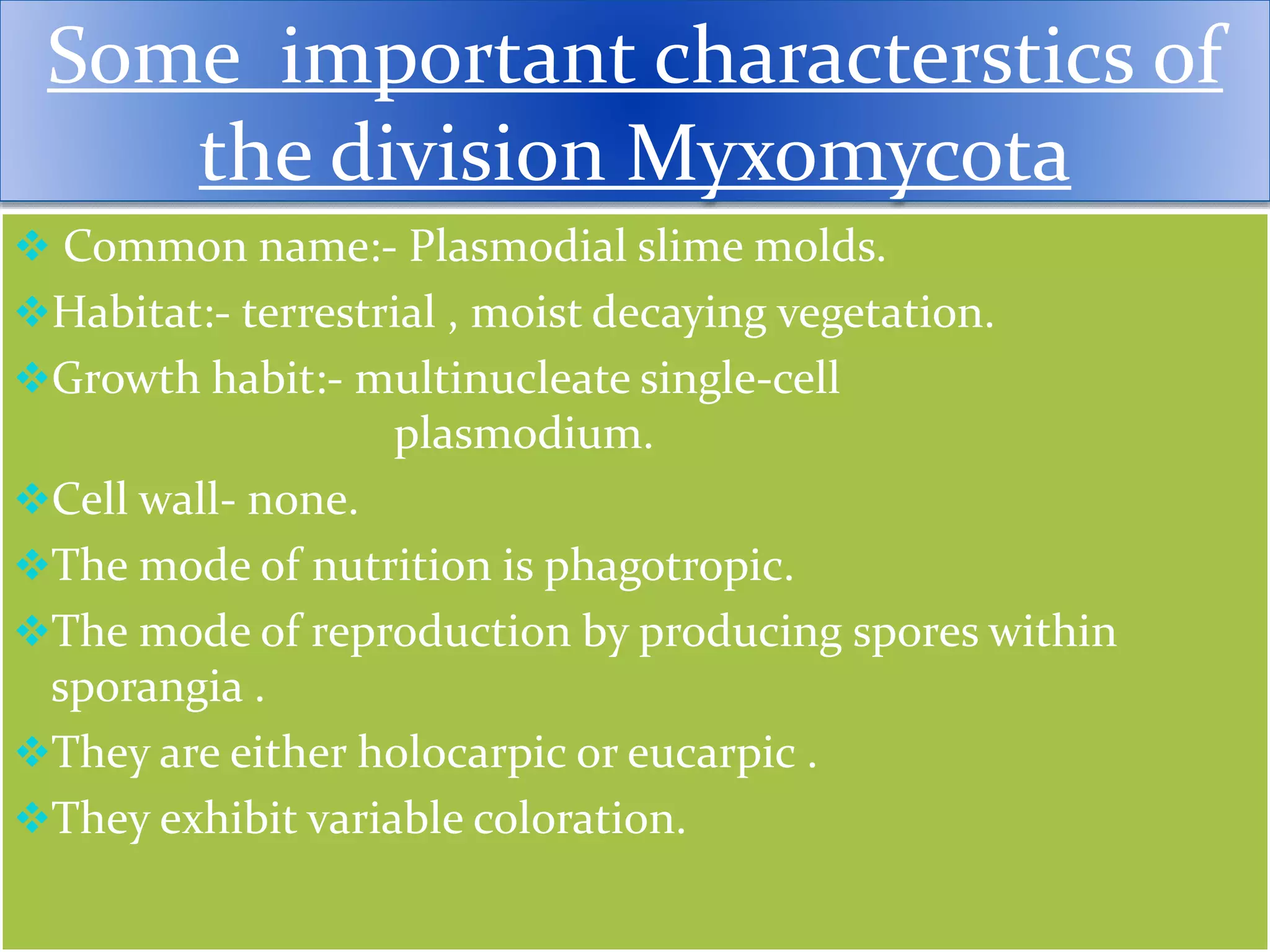 Myxomycota | PPTX