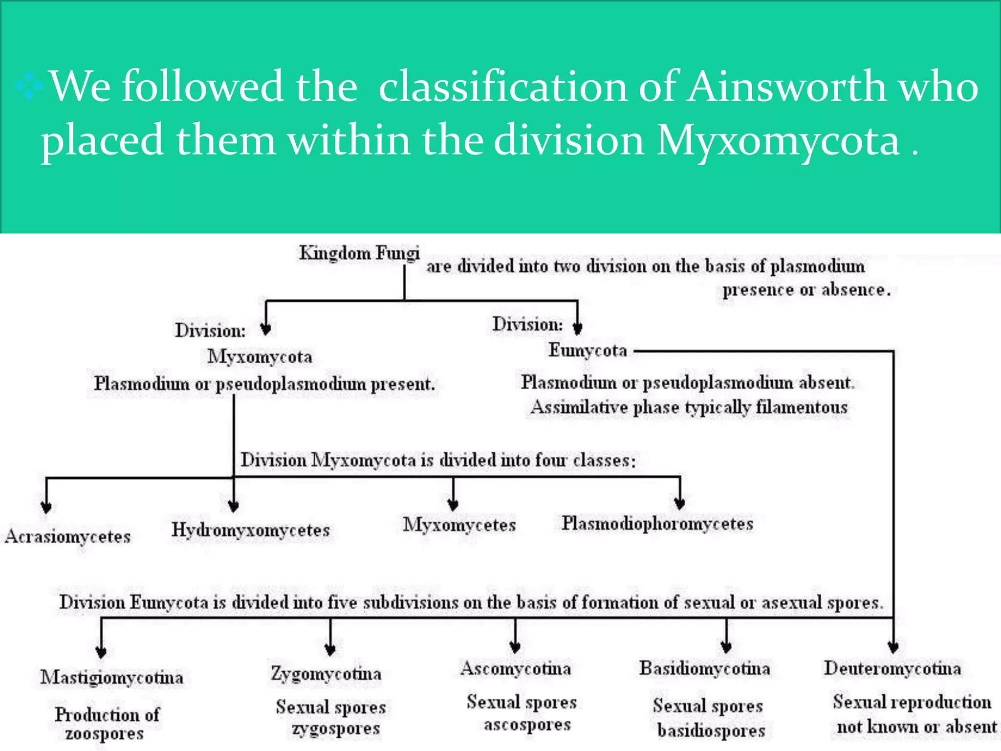 Myxomycota | PPTX