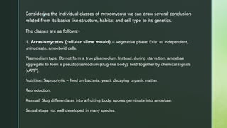 Myxomycota, satyendra sh., BIO104 D (1).pdf