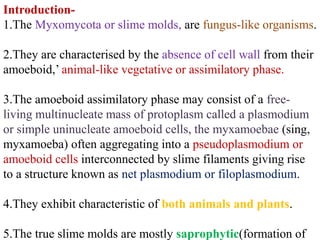 Myxomycotina | PPTX