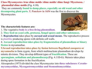Myxomycotina | PPTX