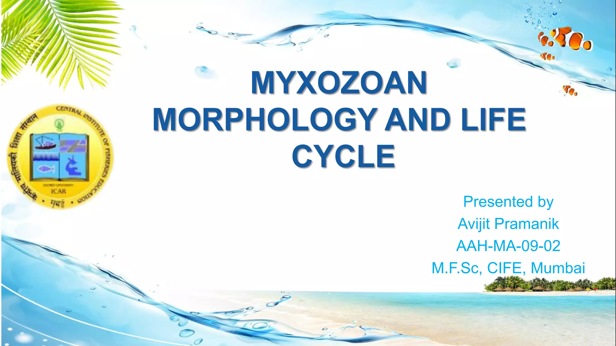Myxozoan morphology and life cycle | PDF