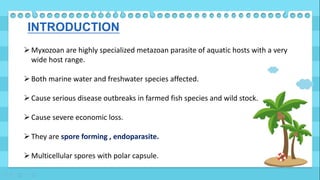 Myxozoan morphology and life cycle | PDF
