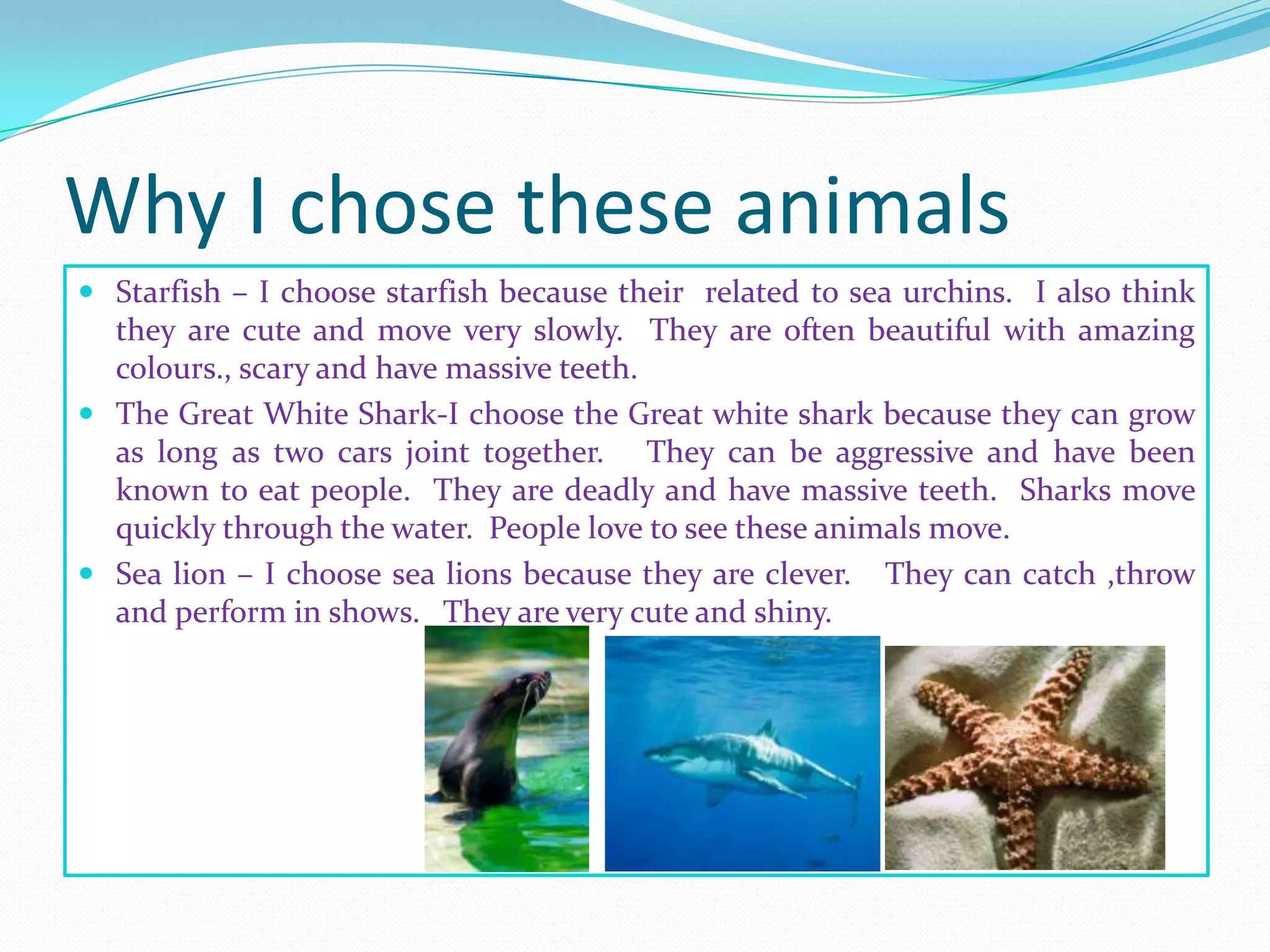 My zoo | PPT