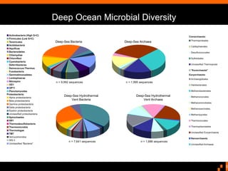 Bioactive Natural Products from Deep Sea Hydrothermal Vent Organisms | PPT