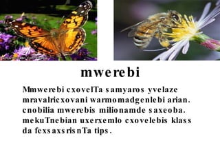 მწერები | PPT