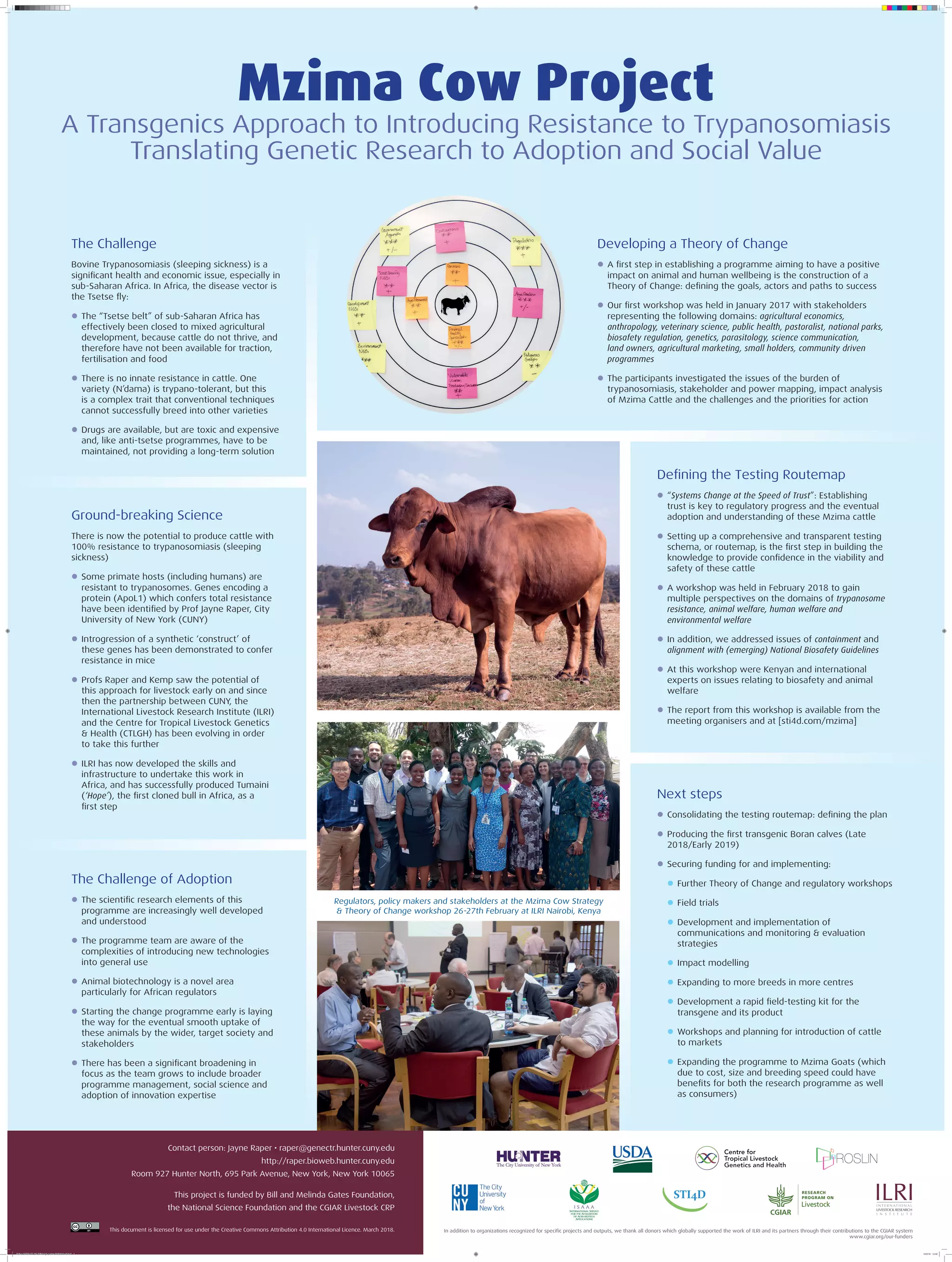 Mzima Cow Project: A transgenics approach to introducing resistance to ...