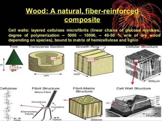 Bio resin based natural fibre composites and their applications