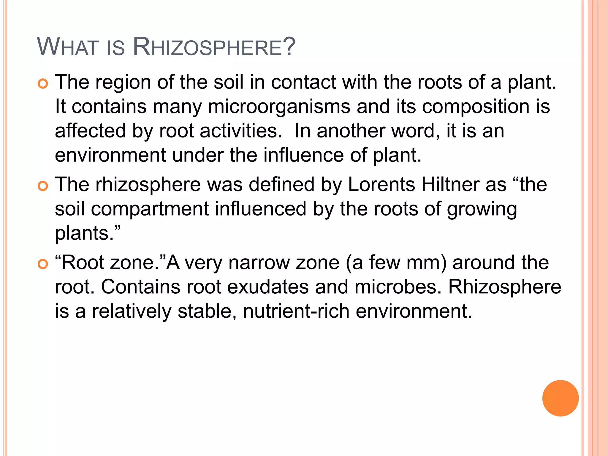 Rhizosphere | PPTX
