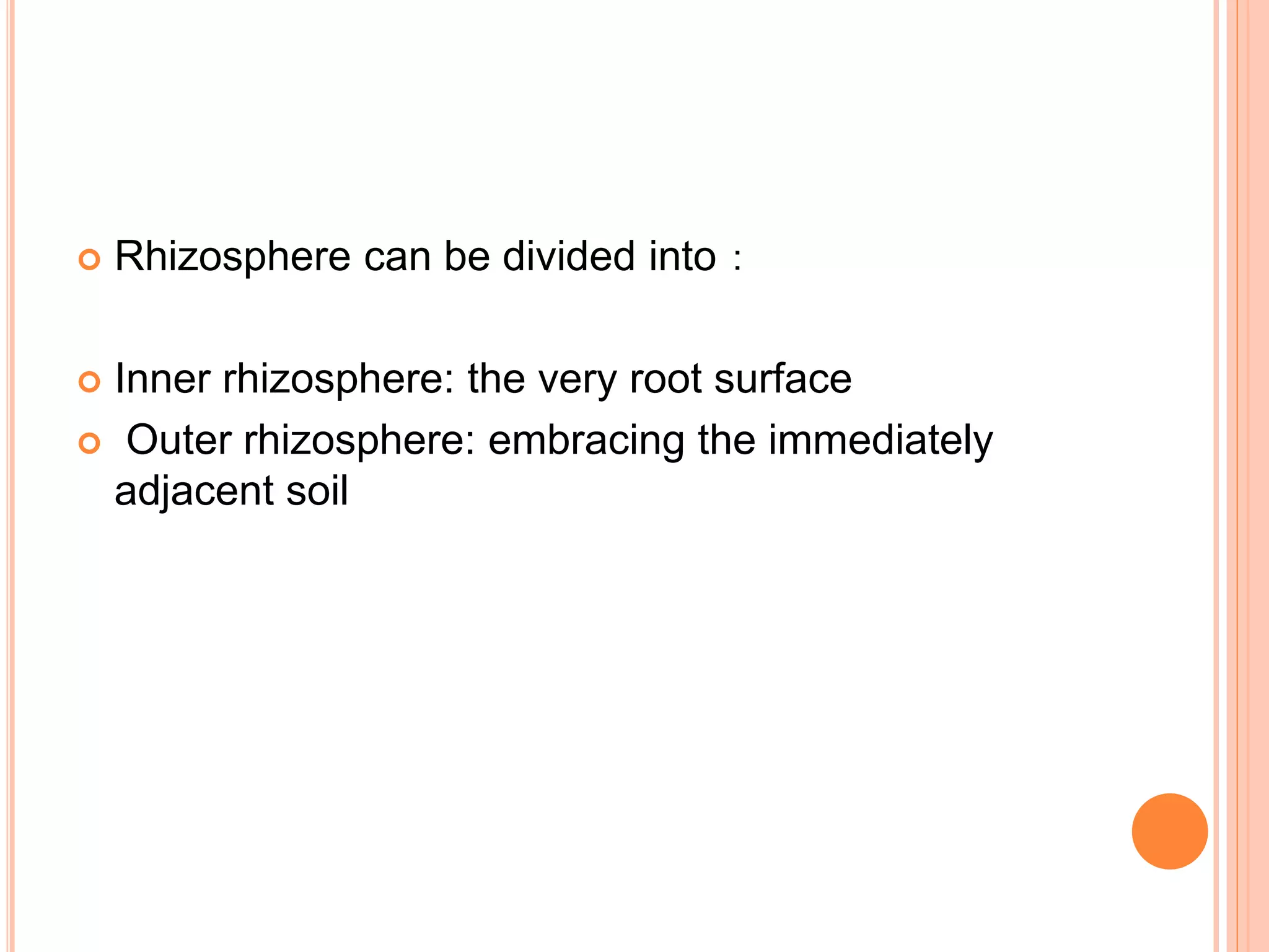 Rhizosphere | PPTX