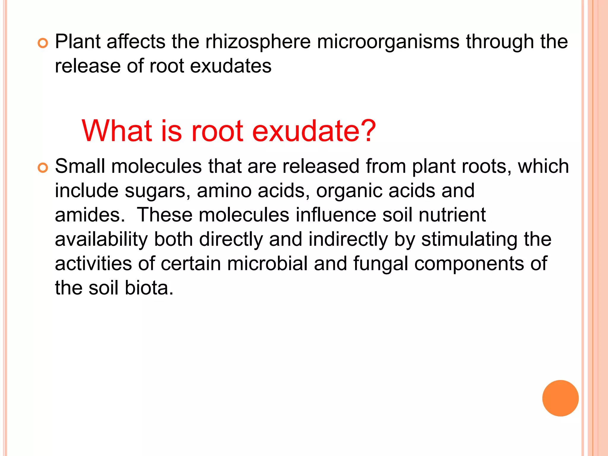 Rhizosphere | PPTX