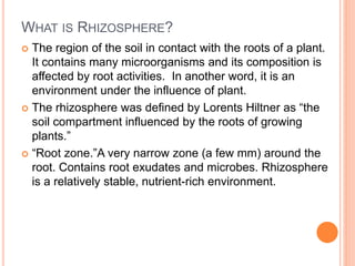 Rhizosphere | PPTX
