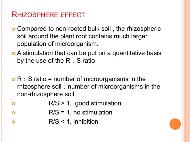 Rhizosphere | PPTX | Gardening | Home & Garden