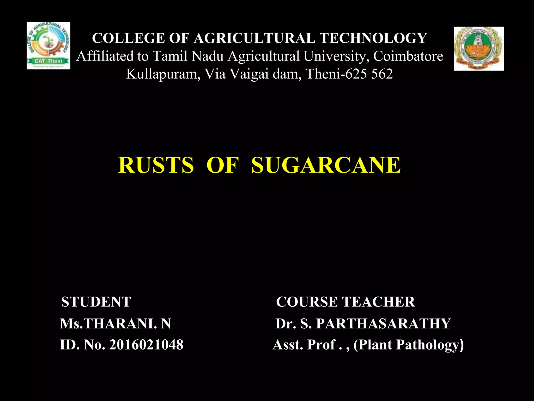 RUSTS OF SUGARCANE | PPTX