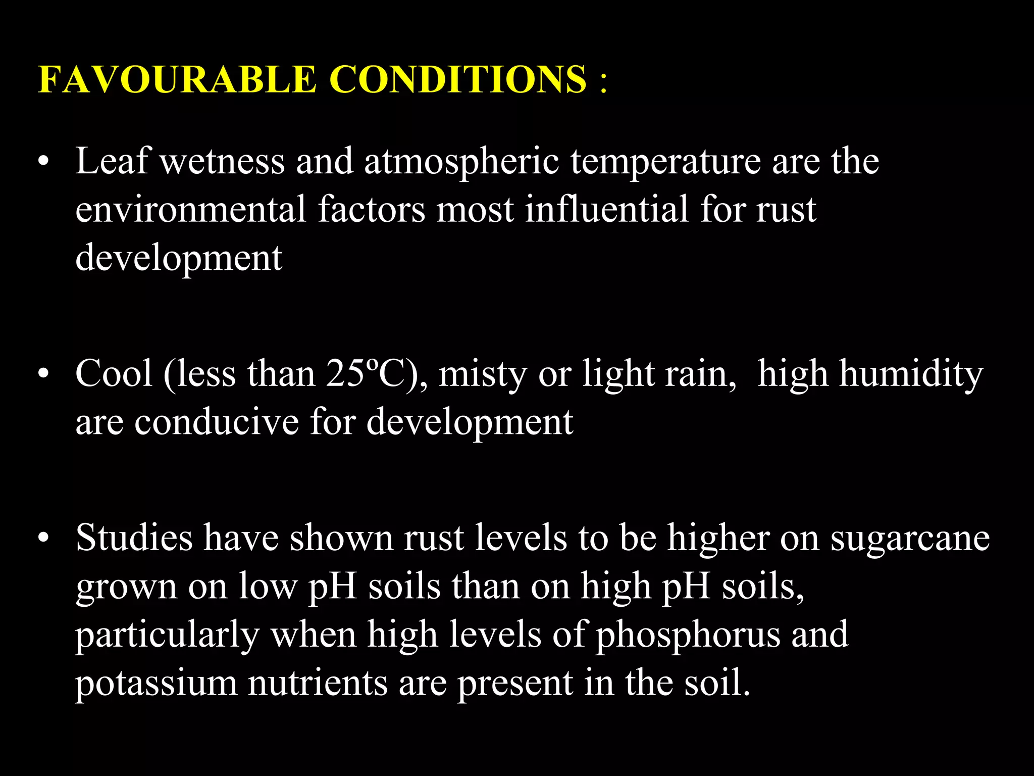 RUSTS OF SUGARCANE | PPTX
