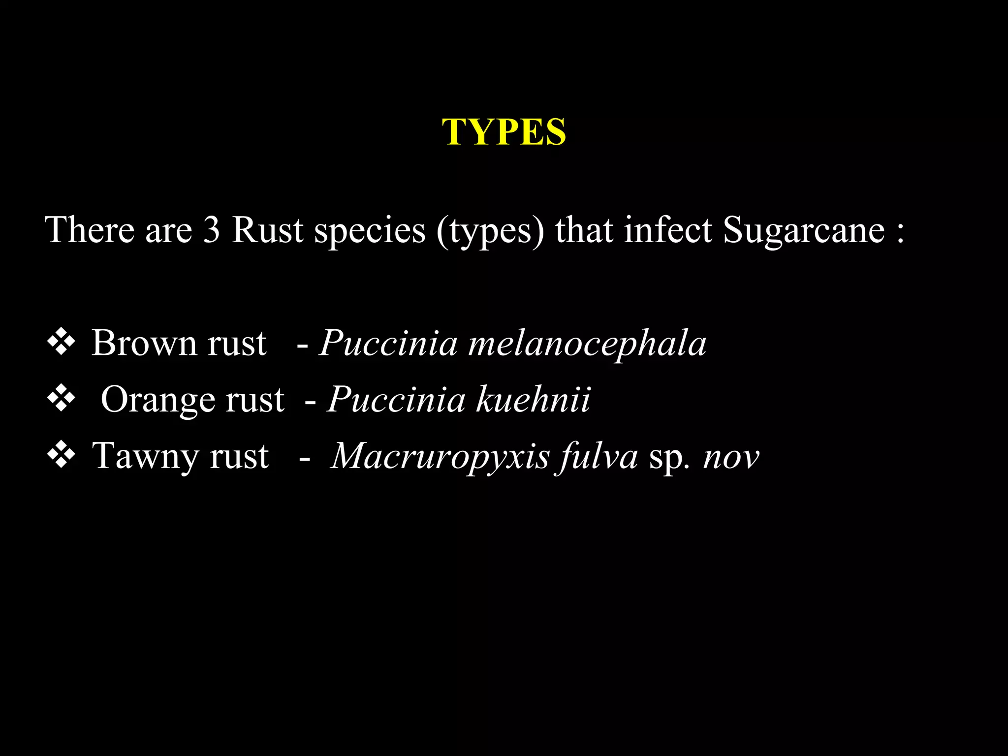 RUSTS OF SUGARCANE | PPTX