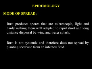 RUSTS OF SUGARCANE | PPTX