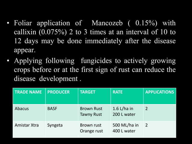 RUSTS OF SUGARCANE | PPTX