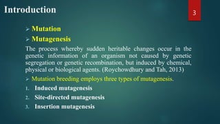 Mutation breeding for abiotic stress | PPTX | Agriculture | Industries