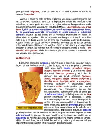 N 20141024 ambar- resina fosil territorio el soplao | PDF
