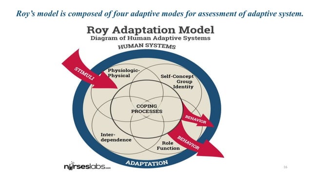 Callista Roy Model | PPT