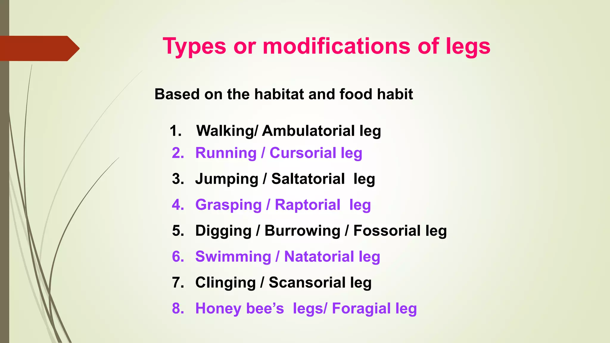 N.AKASH 2021031008 AEN.pptx