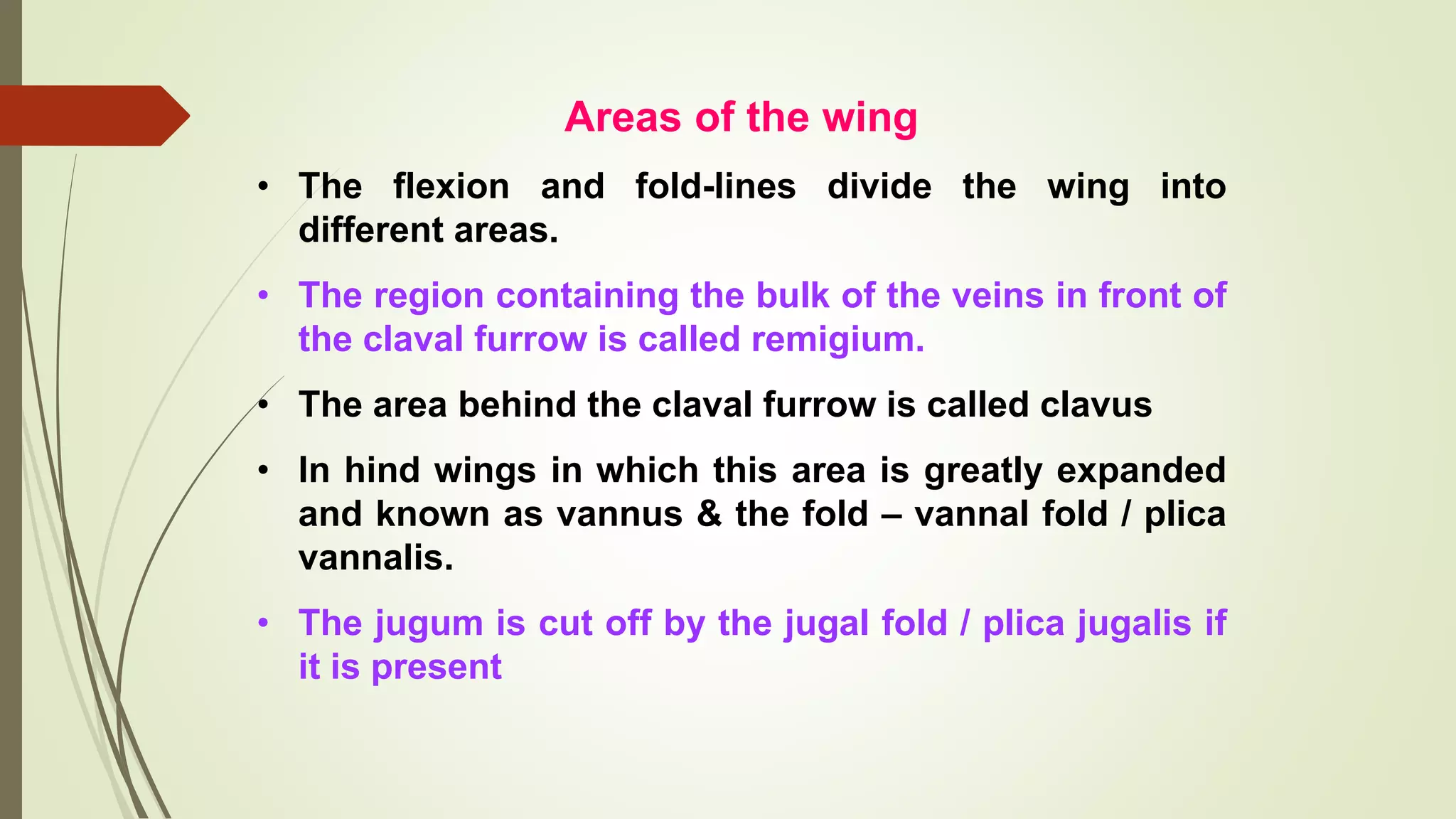 N.AKASH 2021031008 AEN.pptx