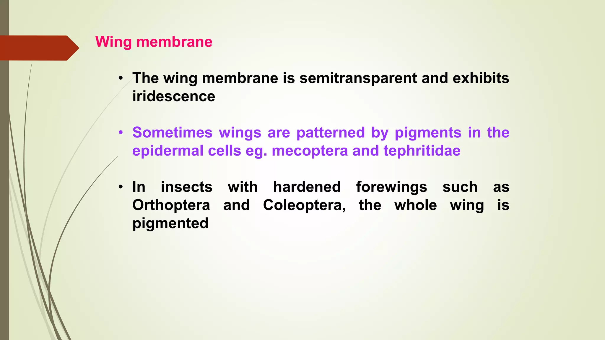 N.AKASH 2021031008 AEN.pptx