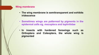 N.AKASH 2021031008 AEN.pptx