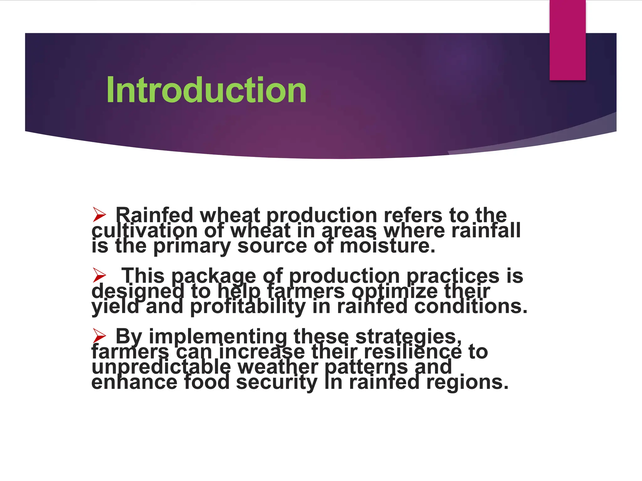 N.AKASH AGR 203 PACKAGE OF PRODUCTION PRACTICES OF RAINFED WHEAT.pptx