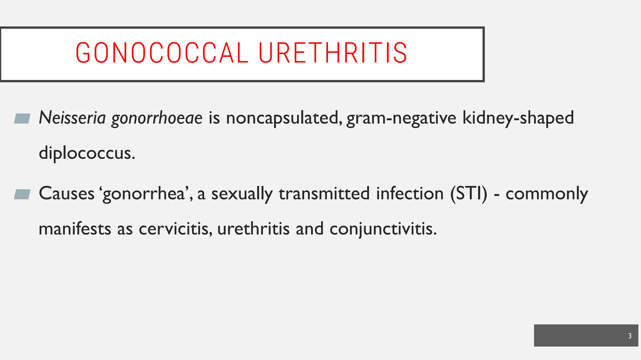 N. Gonnorhea : a causative agent of gonococcal urethritis | PPTX | Infectious Diseases ...