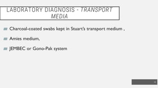 N. Gonnorhea : a causative agent of gonococcal urethritis | PPTX ...