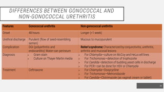 N. Gonnorhea : a causative agent of gonococcal urethritis | PPTX ...
