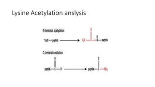 Protein N-acetylation | PPTX | Chemistry | Science