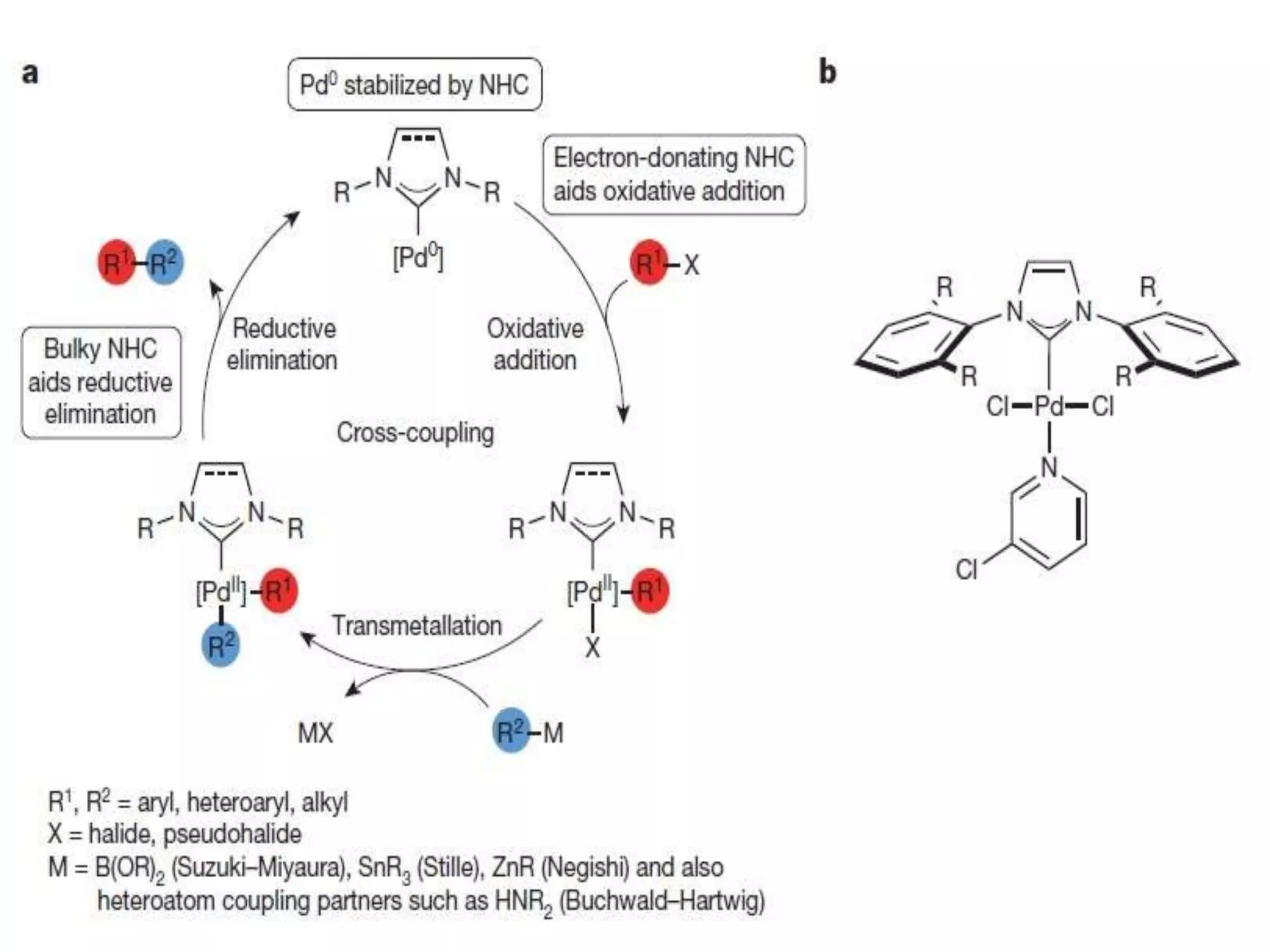 N heterocyclic carbenes | PPTX