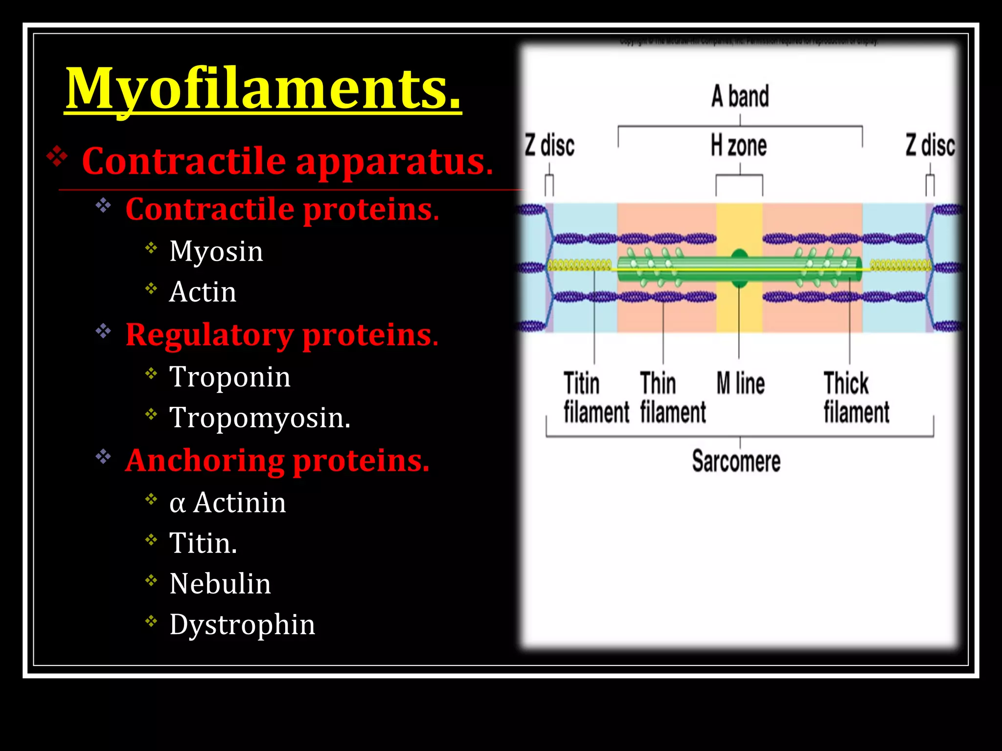 SARCOTUBULAR SYSTEM | PPT