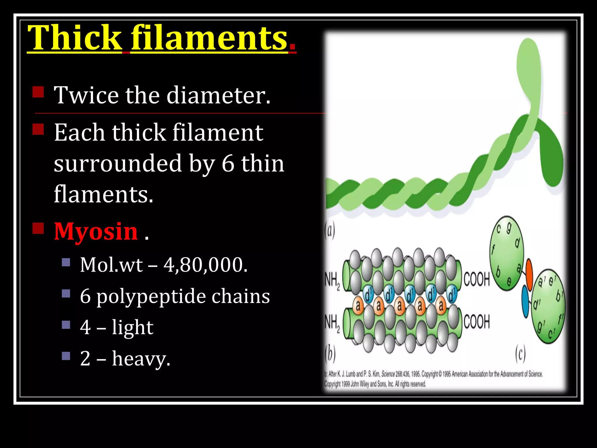 SARCOTUBULAR SYSTEM | PPT