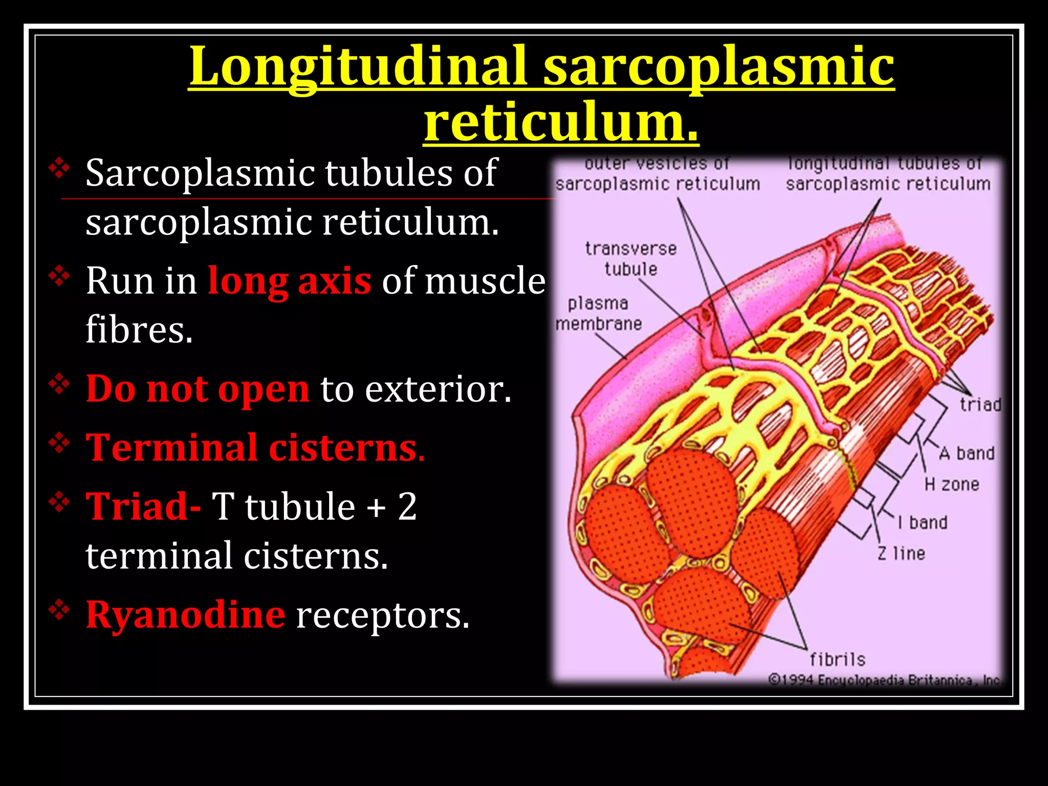 SARCOTUBULAR SYSTEM | PPT