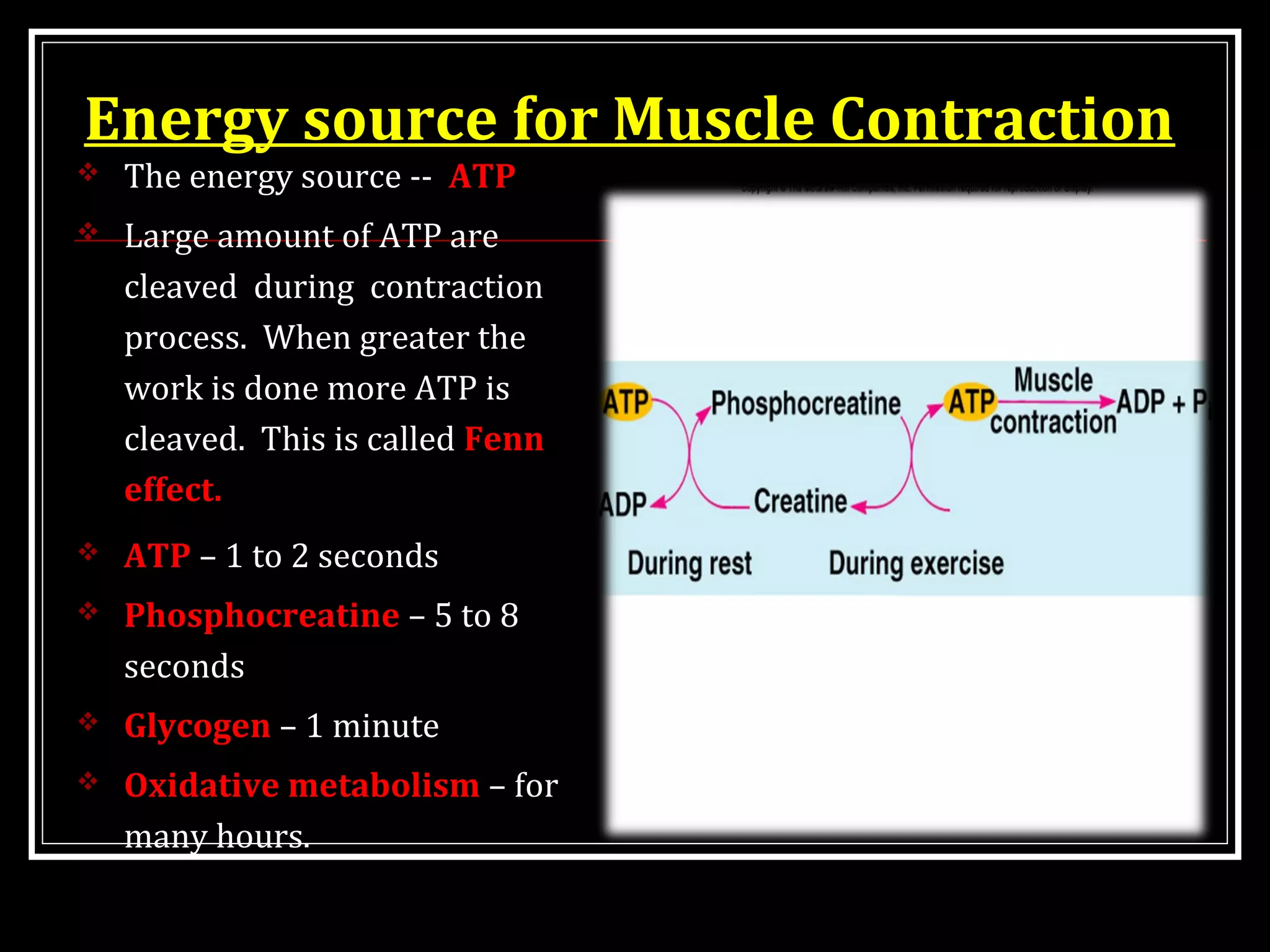SARCOTUBULAR SYSTEM | PPT