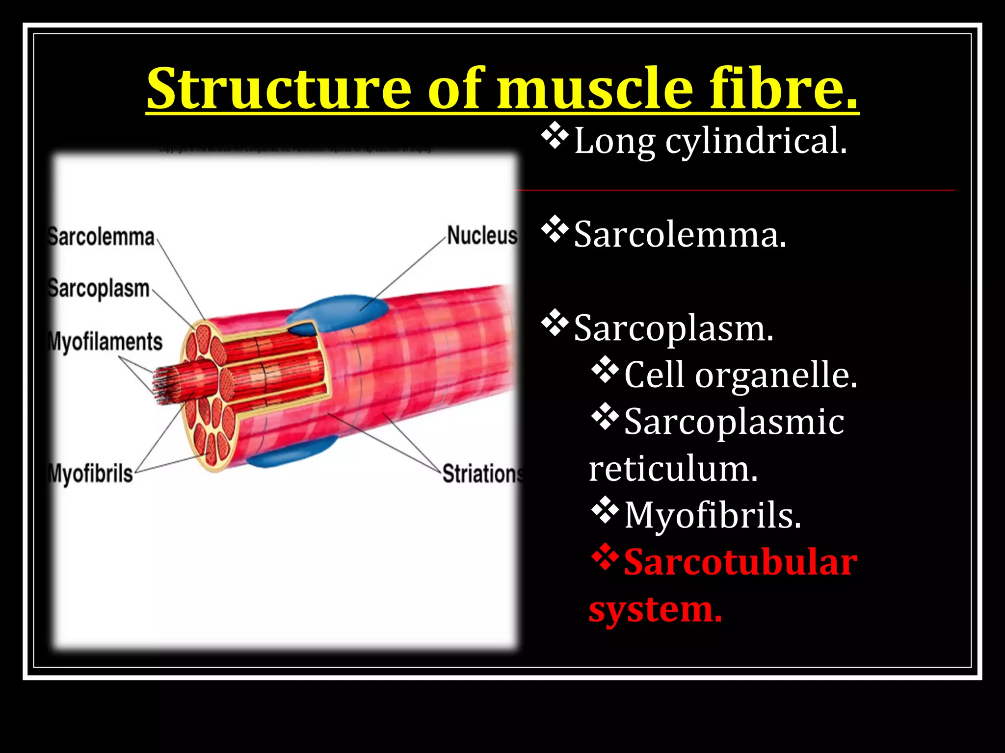 SARCOTUBULAR SYSTEM | PPT