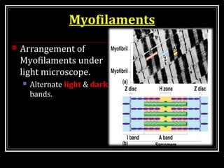 SARCOTUBULAR SYSTEM | PPT