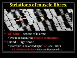 SARCOTUBULAR SYSTEM | PPT