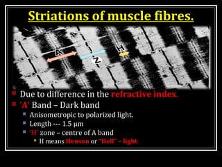 SARCOTUBULAR SYSTEM | PPT