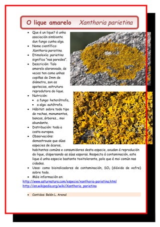 N.u. fichas setembro 2011 | PDF