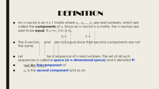 N-VECTORS Group report presentation.pptx