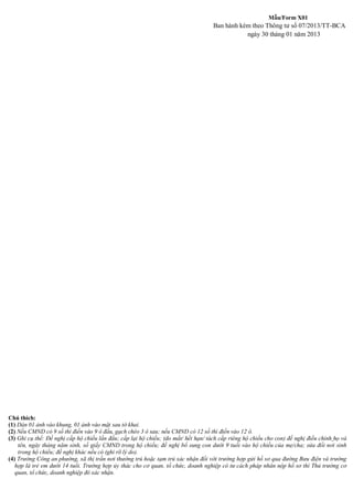 Mẫu đơn xin cấp hộ chiếu phổ thông | PDF