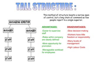 Pricing Strategies & Organisational Structures | PPT | Business ...