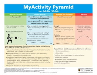 My Activity Pyramid | PPT