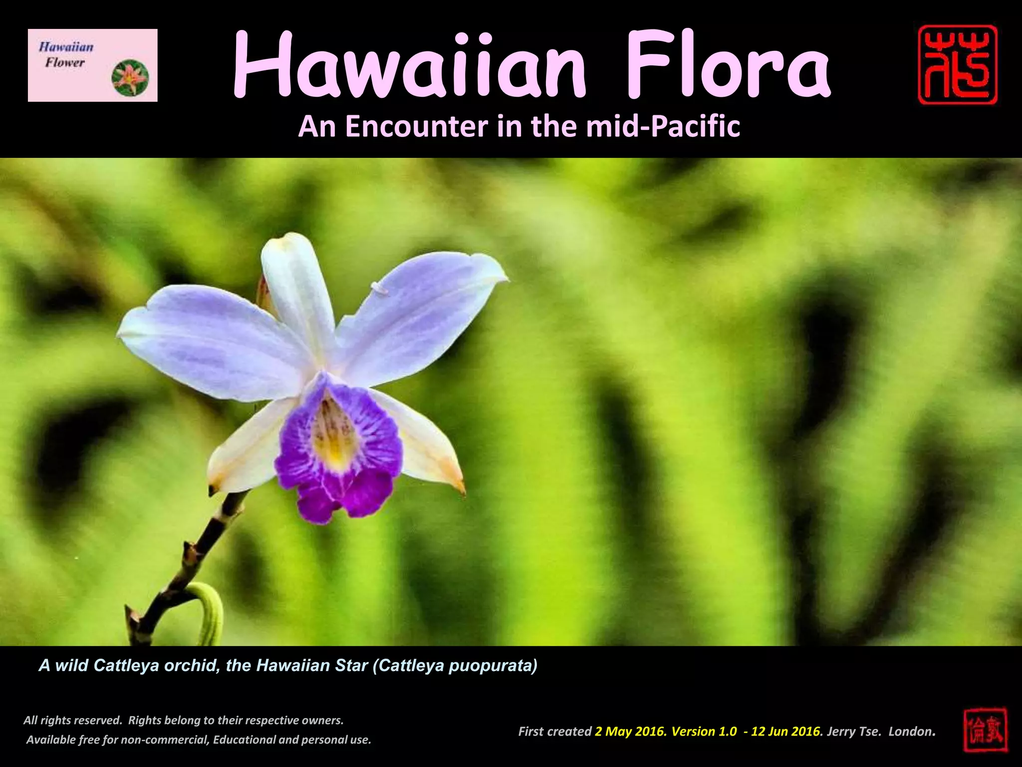 Hawaiian Flora | PPSX