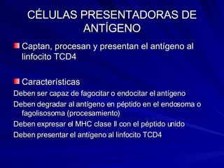 N07 CéLulas Presentadoras De Antigenos | PPT